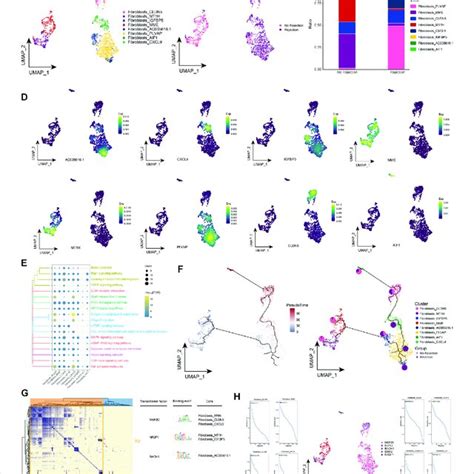 Fibroblast Subpopulations In Renal Transplant Patients A Single Cell Download Scientific