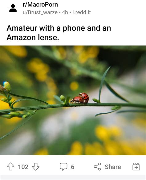 Best MacroPorn Images On Pholder Macro Porn Subs Taken Literally And Spiders