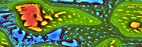 Truly Mesmerising Reaction Diffusion Shader CreativeJS