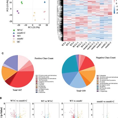 Combined Analysis Of The Transcriptome And Metabolome A Kegg Download Scientific Diagram