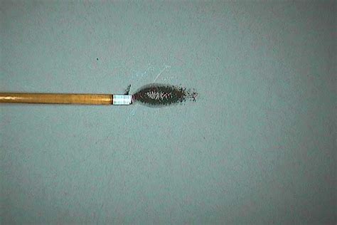 Eryag Laser Pips Is The Radial Shaped Tip Necessary Cape Dental Care