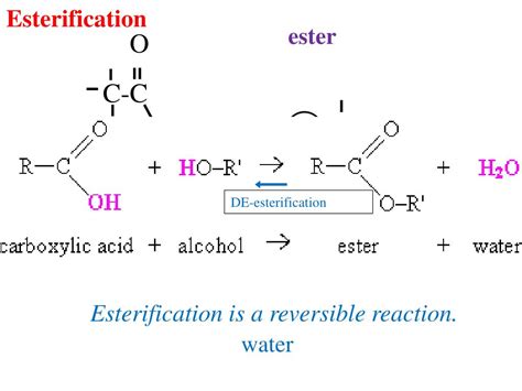 Esterification