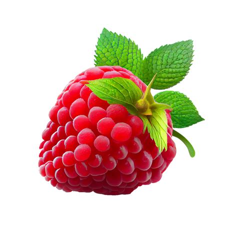 Raspberry Fruit Png Free Png Images
