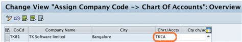 Assign Company Code To Chart Of Accounts In SAP