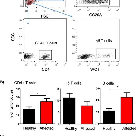 Flow Cytometric Analysis Of Selected Lymphocyte Subsets In Balf From Download Scientific