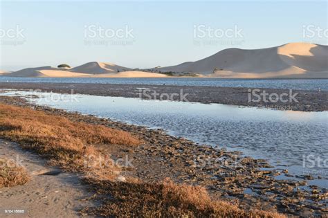강 근처에 일요일 아도 코끼리 공원 근처 콜체스터에서 남아 프리 카 공화국에서 가장 큰 모래 언덕 0명에 대한 스톡 사진 및 기타 이미지 Istock