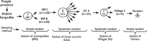 Sampling Framework And Process Of The Study Download Scientific Diagram