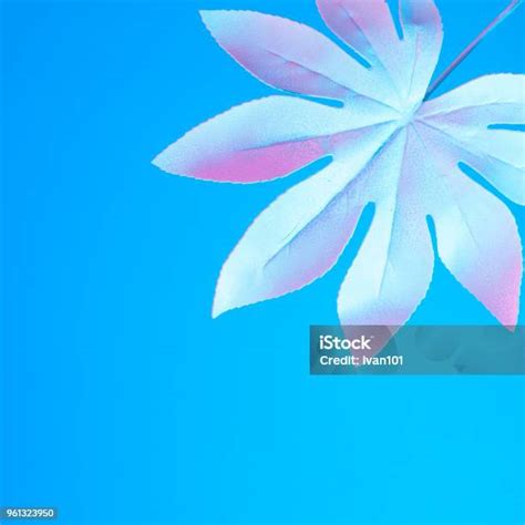 활기찬 대담한 그라데이션 홀로그램 네온 색상에서의 열 대 야 자 잎 컨셉 아트입니다 최소한의 초현실주의 여름 배경입니다 개념에 대한 스톡 사진 및 기타 이미지 Istock