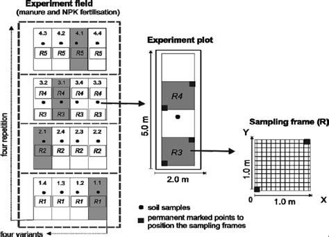 Experimental Design Example Of An Experiment Field With Four Variants