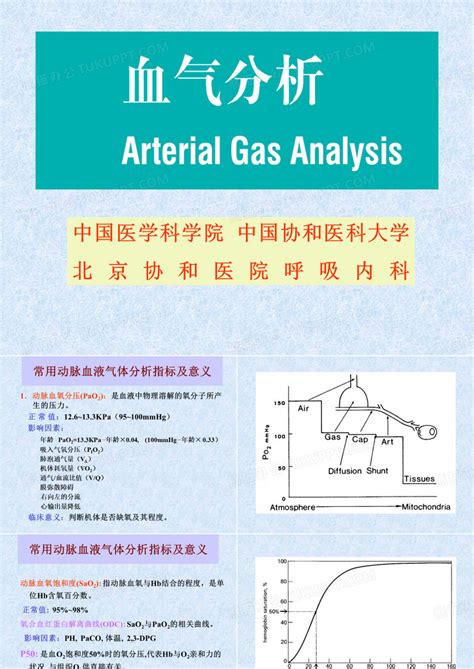 血气分析讲座ppt模板下载 编号lvnryegy 熊猫办公
