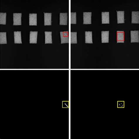 Example Of Foreign Objects Detection In Bread Images The Binary Image Download Scientific