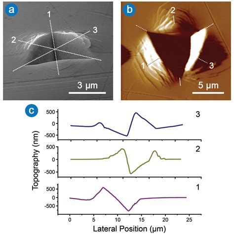 In Situ SEM Nanomechanics With Scanning Probe Microscopy Imaging SPM Bruker