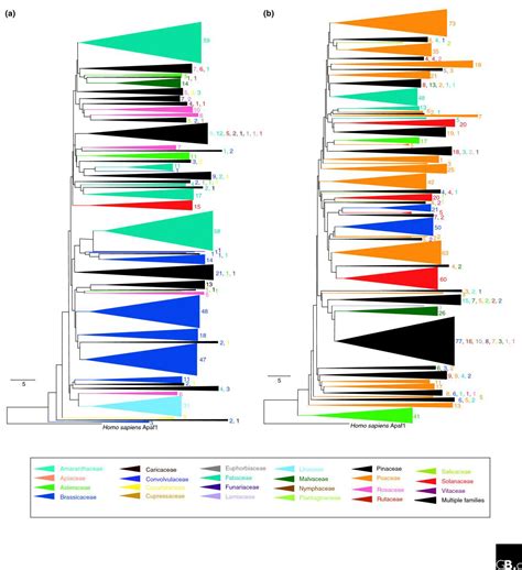 supplemental data to paper plant nbs lrr proteins adaptable guards