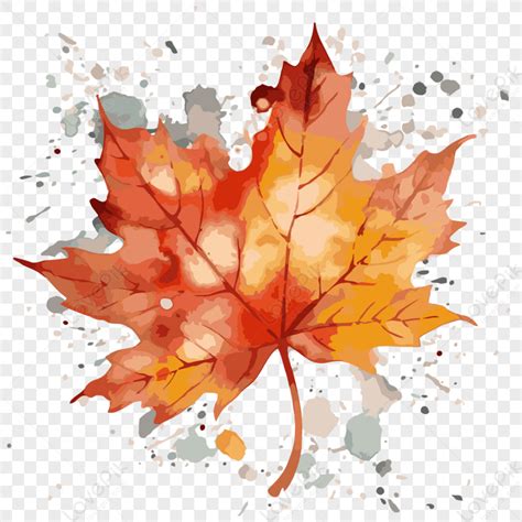 Watercolor Fall Leaf Vectorcartoonleaf Fallingsticker Png Image And