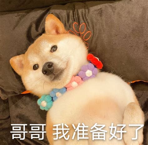 【python小游戏】通过这款专为程序员设计的《极限车神》小游戏，你的打字速度可以赢过专业录入员，这个秘密98的人都不知道哦~（爆赞）pygame 打字游戏 Csdn博客