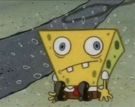 Pin By Jess On Quick Saves In 2024 Silly Memes Cute Memes Spongebob