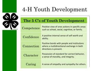 4 H Youth Development Ppt