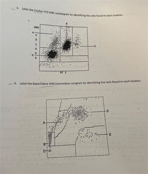 5 Label The Coulter Vcs Wbc Scattergram By