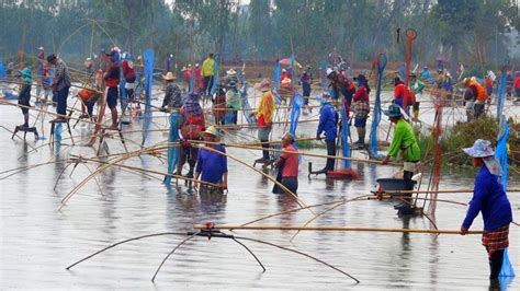 ยกยอหนองกกกอก หนองดังบ้านโยธา คนเป็นพัน แล้วปลาไปอยู่ไหน Youtube