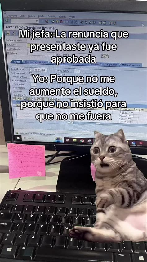 Conecta Tic Mis Compañeros De Contabilidad Están Iniciando Año