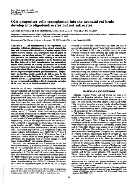 02a Progenitor Cells Transplanted Into The Neonatal Rat Brain Develop Into Oligodendrocytes But