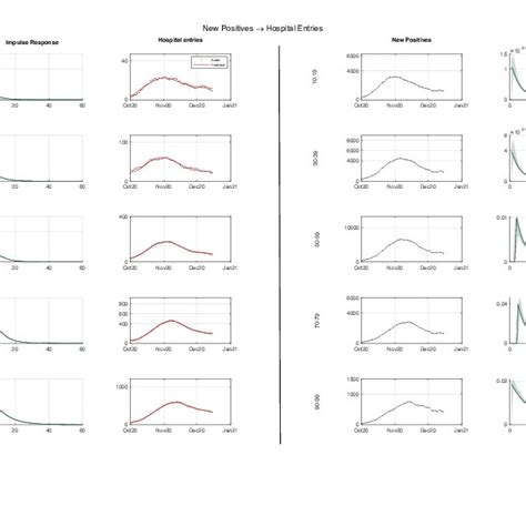 Identification Of Input Output Model Of Hospital Admissions In The