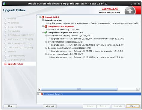 Understanding The Upgrade Assistant Screens