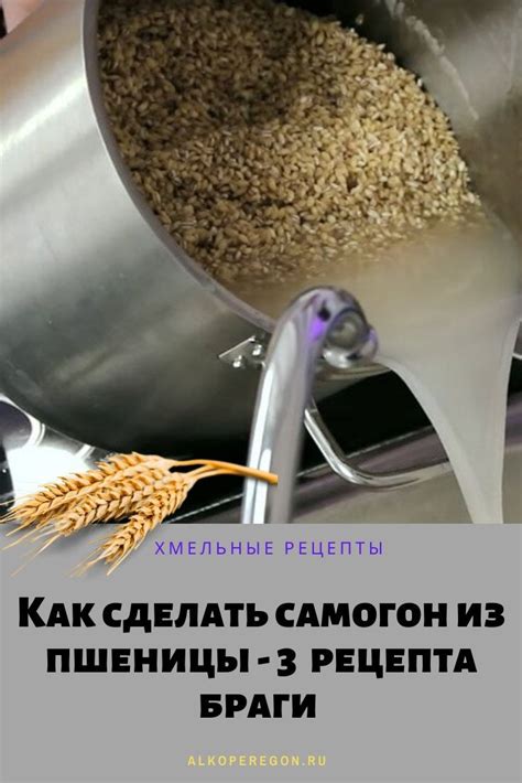 3 способа сделать брагу для самогона из пшеницы | Хмельные рецепты ...