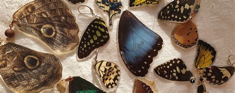 Lepidoptera. Бабочка как украшение | Серьги, брошки и другие украшения ...