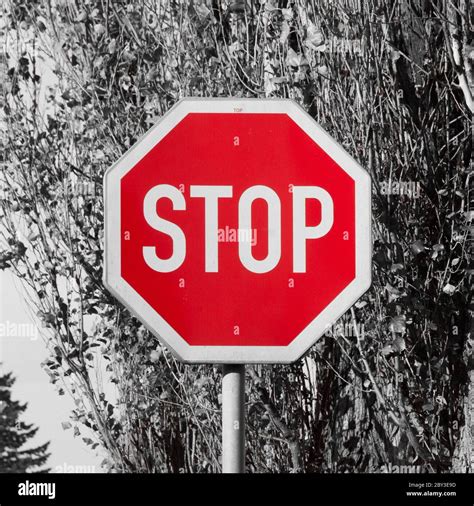 White Octagon Stop Sign Stop Sign Large Metal Red And White