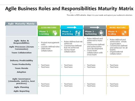 Agile Business Roles And Responsibilities Maturity Matrix