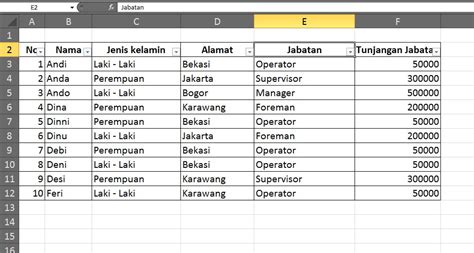 Cara Memfilter Data Di Excel Berdasarkan Kategori Lalu Membuatkan Tabel Baru Blog Pribadi