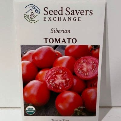 Siberian Tomato Organic Firefly Farms And Mercantile