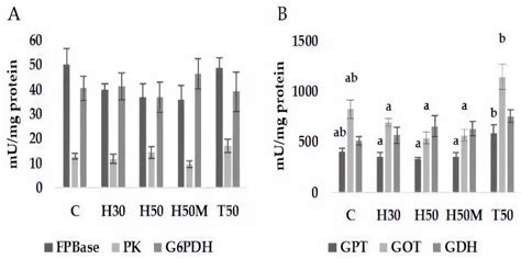 Insect Exoskeleton Composition