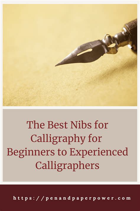 The Best Nibs For Calligraphy For Beginners To Experienced Calligraphers Pen And Paper Power