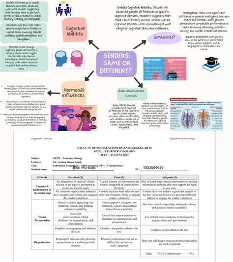 Neuro Mindmap 3 Pdf Memory Sex Differences In Humans