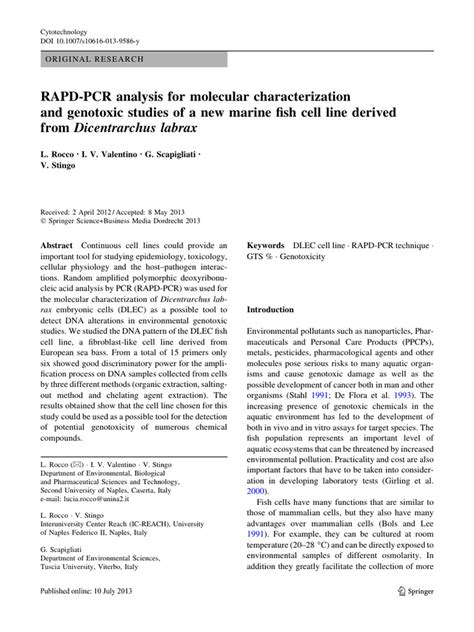 Rapd Pcr Pdf Polymerase Chain Reaction Primer Molecular Biology
