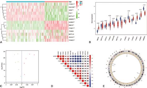 Expression Patterns And Prognostic Value Of M6a Rna Methylat Medicine