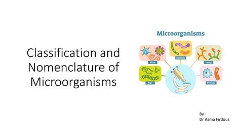 Classification And Nomenclature Of Microorganisms Pptx