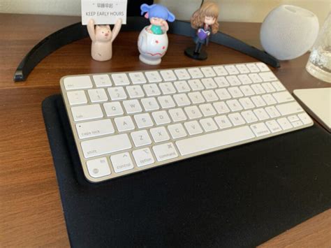 CPT和OPT是什么以及CPT和OPT的区别 生活在美国