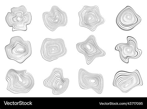 Tree Rings Organic Patterns Topography Line Vector Image