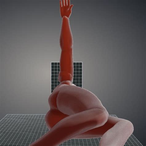 Shoulder Joint Axial View Superior Inferior Axial View Lawrence