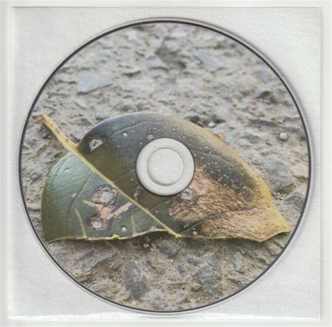 Kinetic Vision Electric Powered Music Meenna