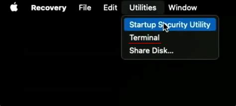 how to disable sip antelope audio customer support