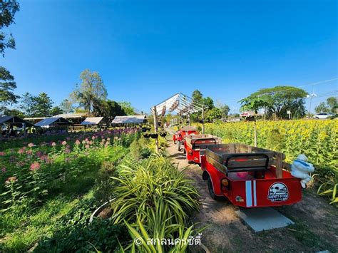 สกลนคร ซิตี้ สกลนคร ซิตี้ Added A New Photo