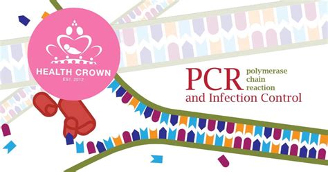 Хийлт Pcr буюу Полимеразийн гинжин урвал ПГУ ын шинжилгээ гэж юу вэ Түүнийг жирэмсний