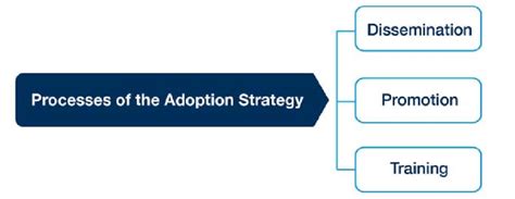 Processes Of The Adoption Strategy Download Scientific Diagram