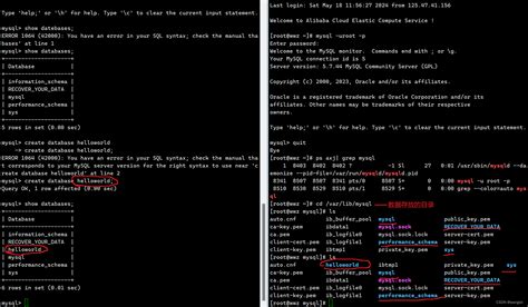Mysql数据库基础 Csdn博客