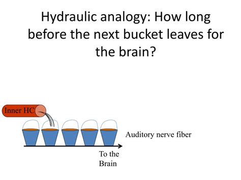 Ppt Temporal Coding And Temporal Resolution Powerpoint Presentation