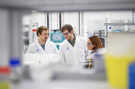 Process Engineer Lesaffre